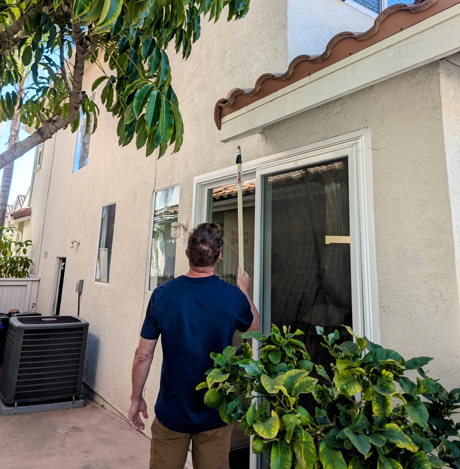 Annual Termite Inspections - California Termite and Pest Control