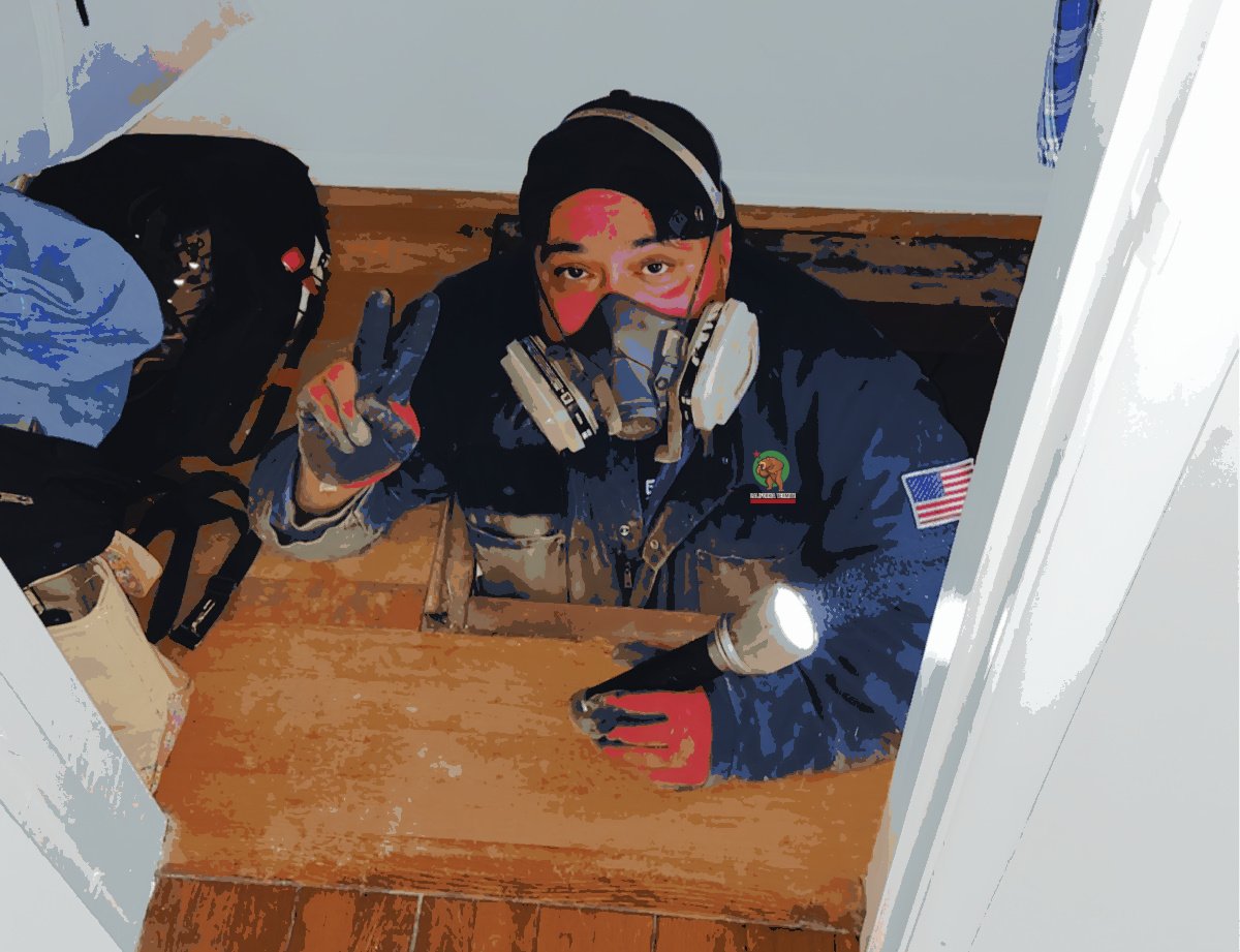 Termite Industry - California Termite and Pest Control