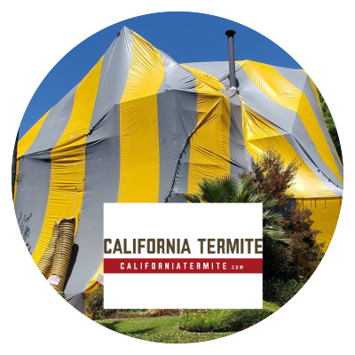 Home - California Termite and Pest Control
