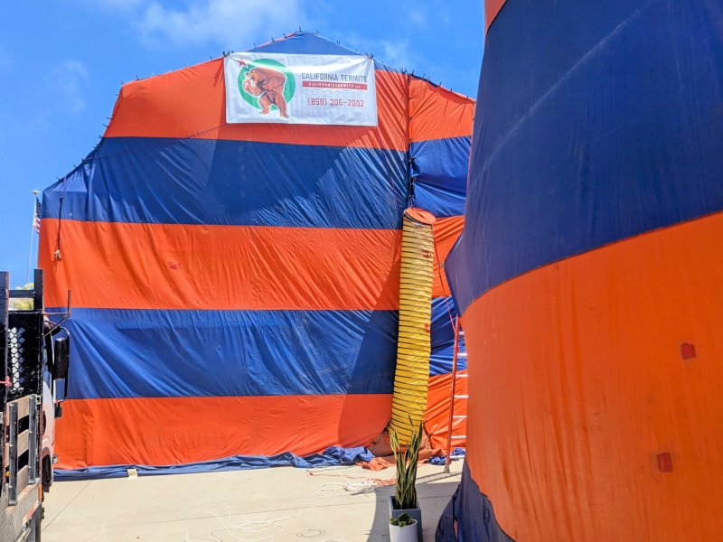 Termite Fumigation - California Termite and Pest Control